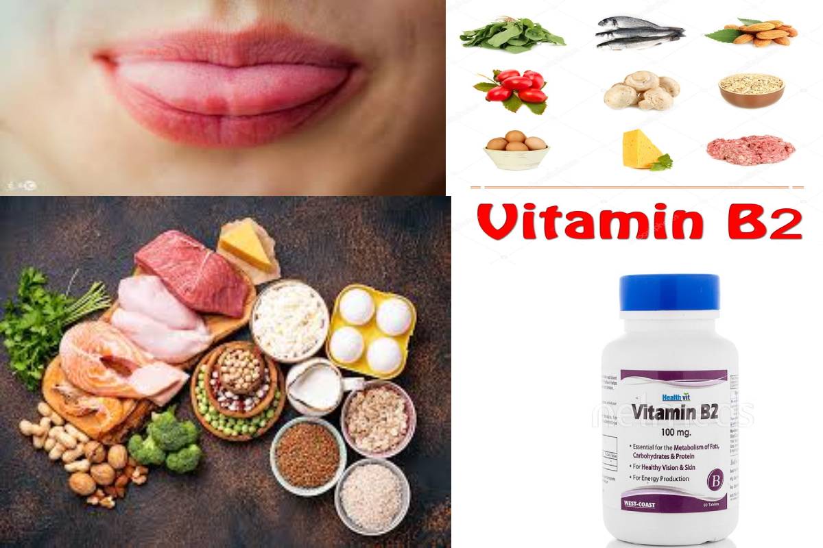 What Is Vitamin B2 Definition Properties Benefits And More